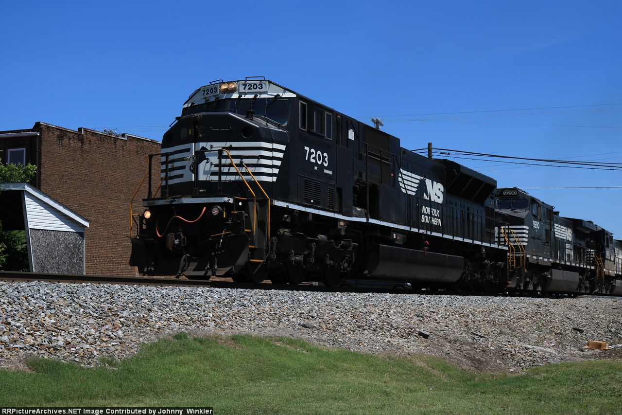 NS 7203 leads NS 135